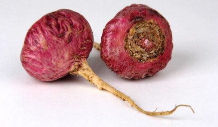 The Proven Benefits of this Superfood: Red Maca for women, a Natural ...